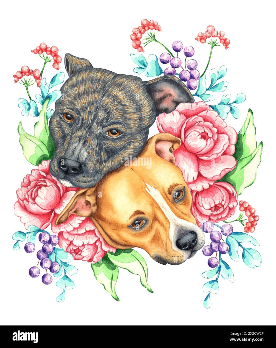 Watercolor illustration of two dogs, Staffordshire Terrier, in flowers ...