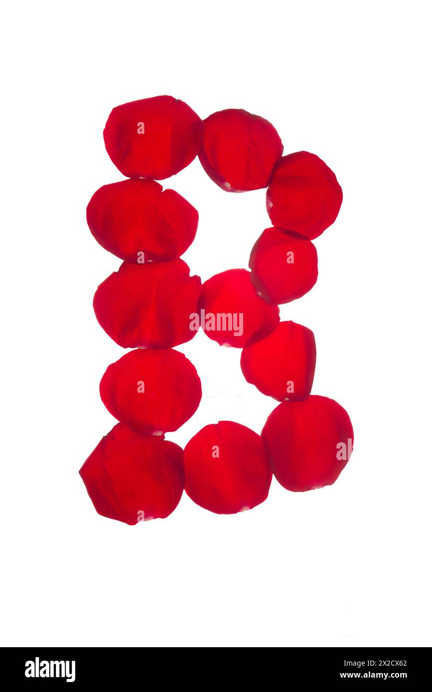 Letter B formed of red rose petals of white background. Symbolizes ...
