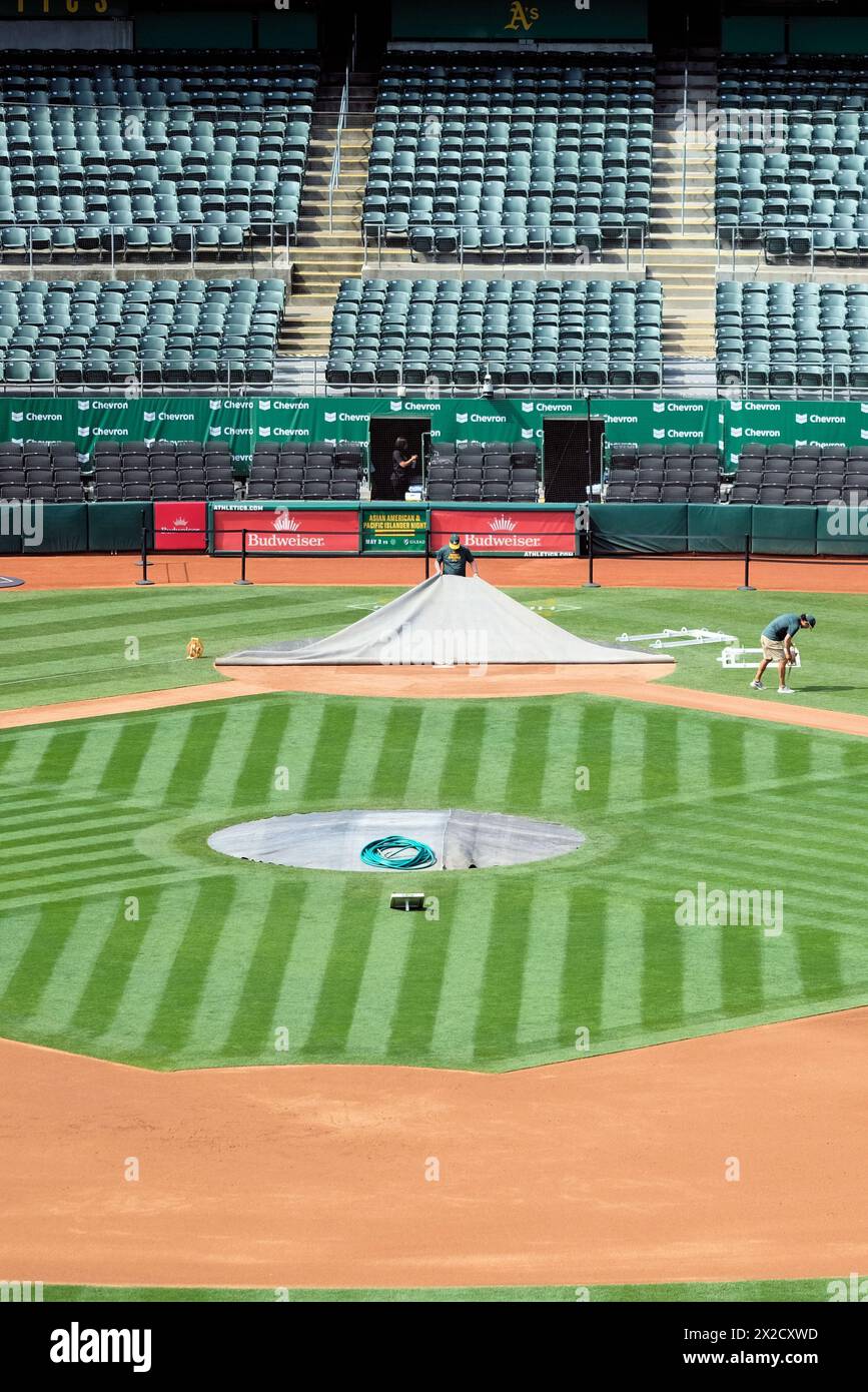 Groundcrew pregame field preparation at Oakland Coliseum's Ricky ...