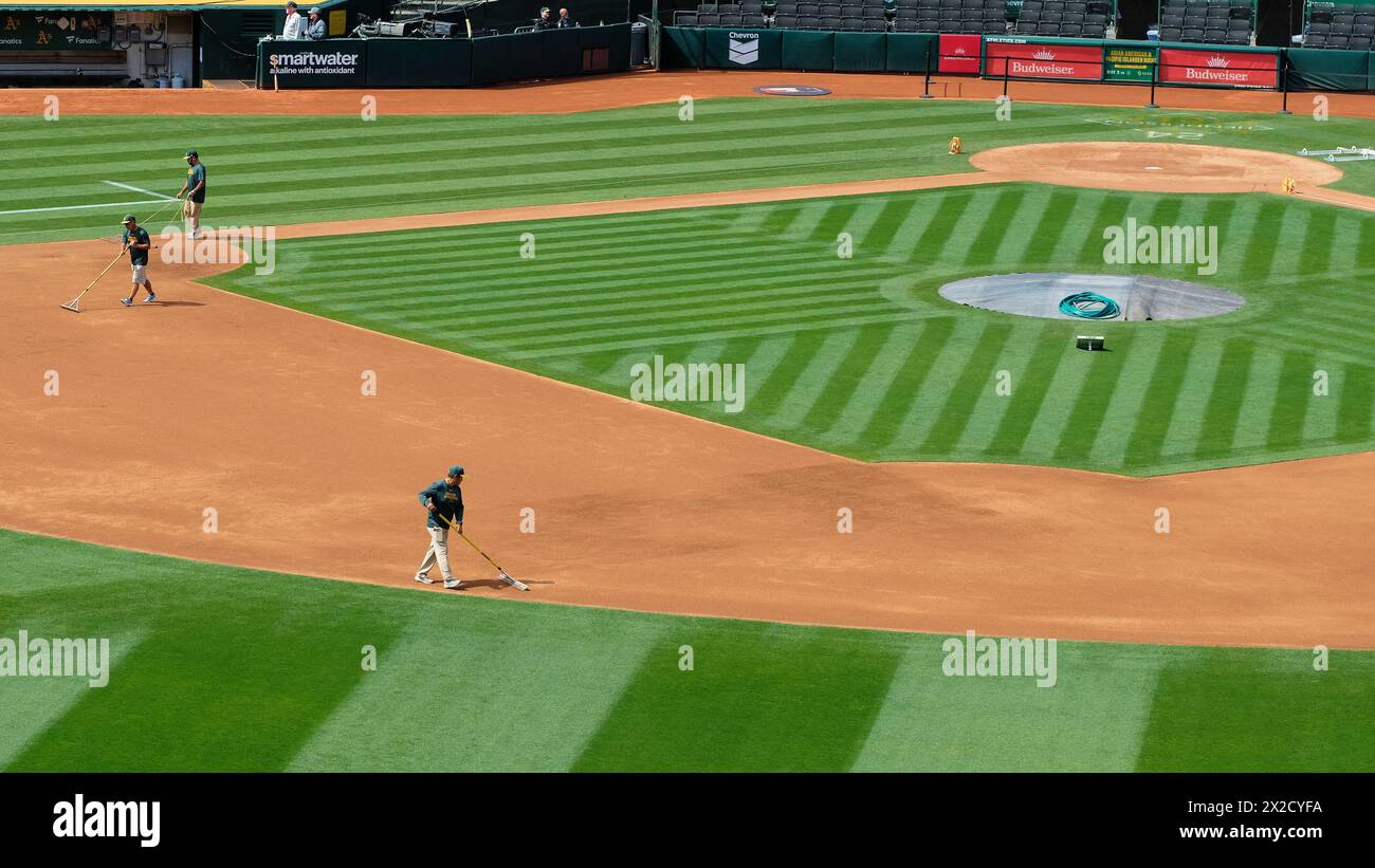 Groundcrew pregame field preparation at Oakland Coliseum's Ricky ...