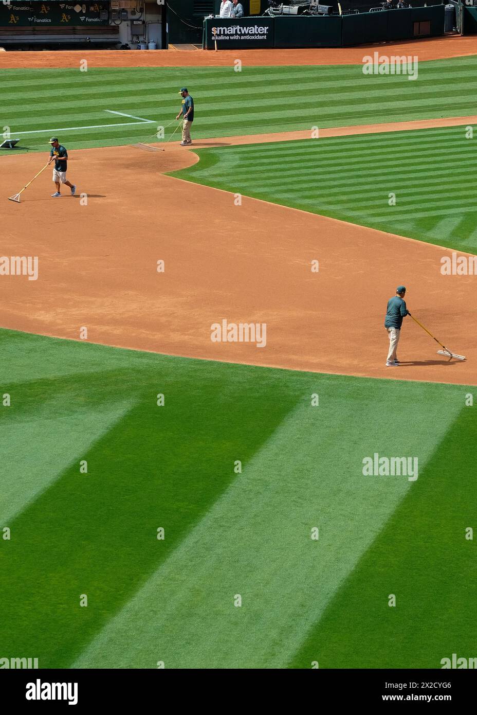 Groundcrew pregame field preparation at Oakland Coliseum's Ricky ...