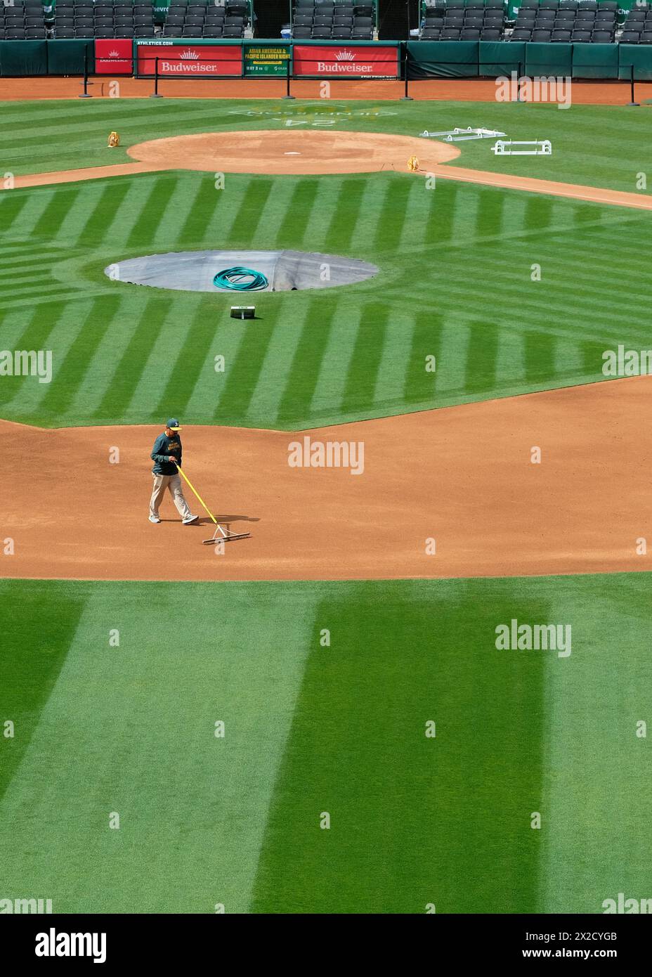 Groundcrew pregame field preparation at Oakland Coliseum's Ricky ...