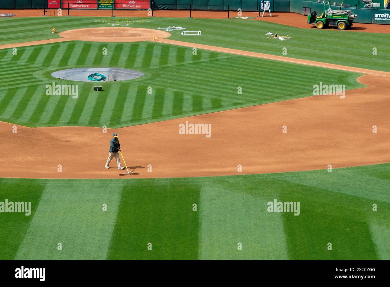Groundcrew pregame field preparation at Oakland Coliseum's Ricky ...
