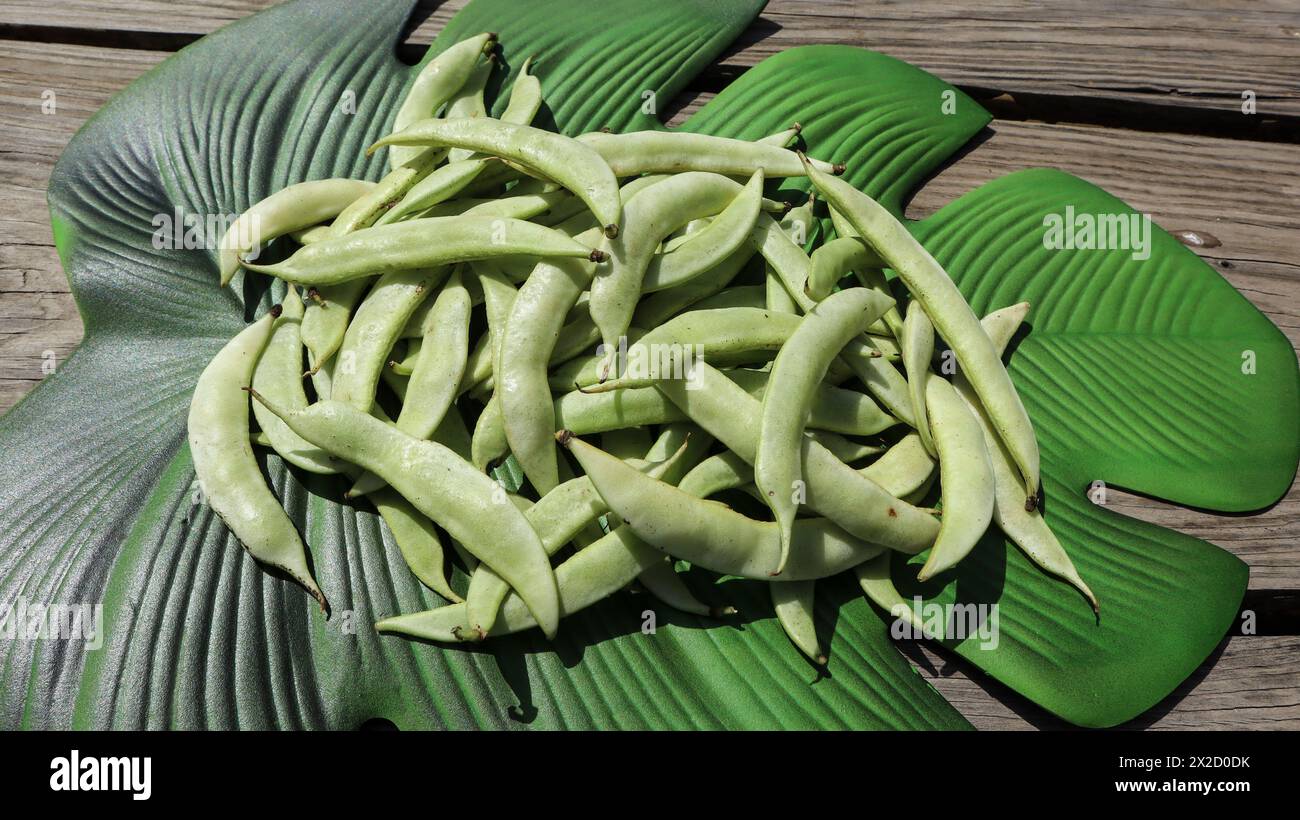 Fresh Green vegetable Flat beans, Green beans or Valor papdi from ...