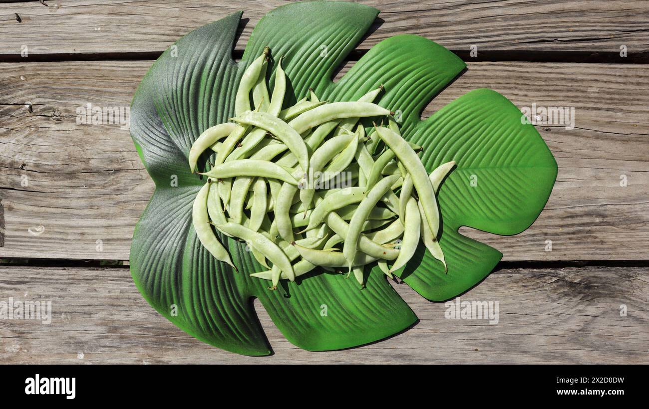 Fresh Green vegetable Flat beans, Green beans or Valor papdi from ...