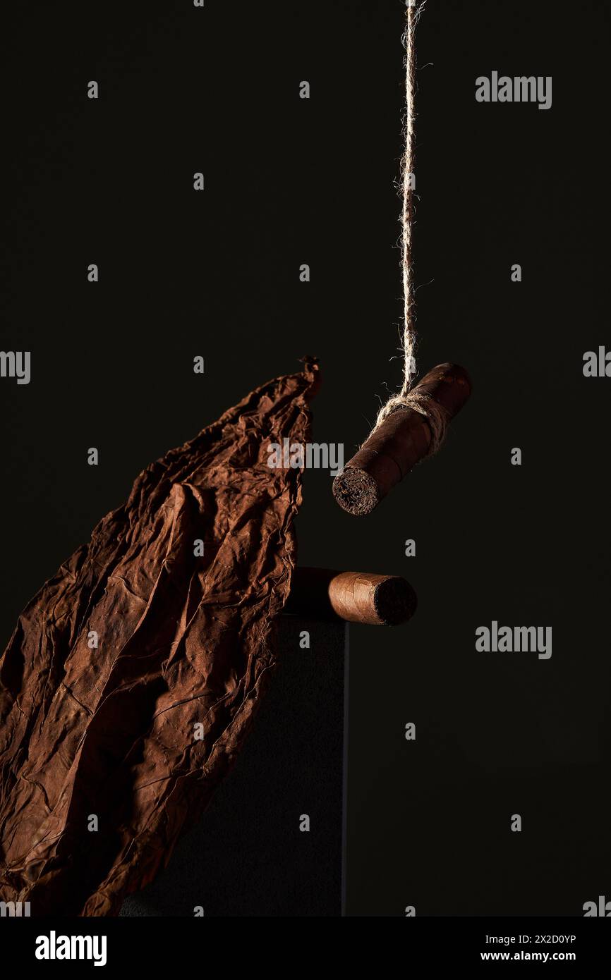 Cigarette dangers hi-res stock photography and images - Alamy