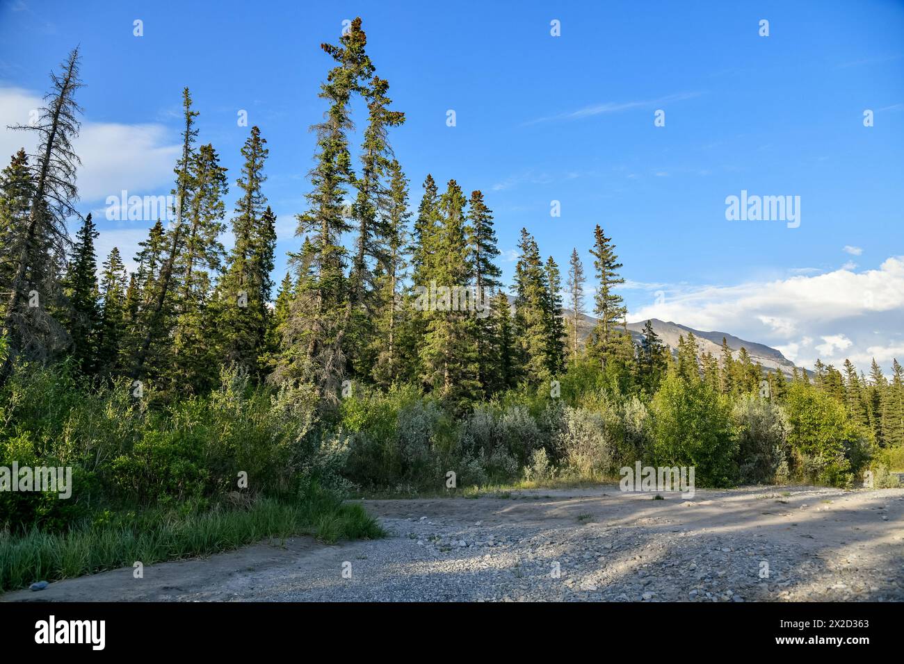 Incredible view of Three Sisters in Canada, Banff National Park with ...
