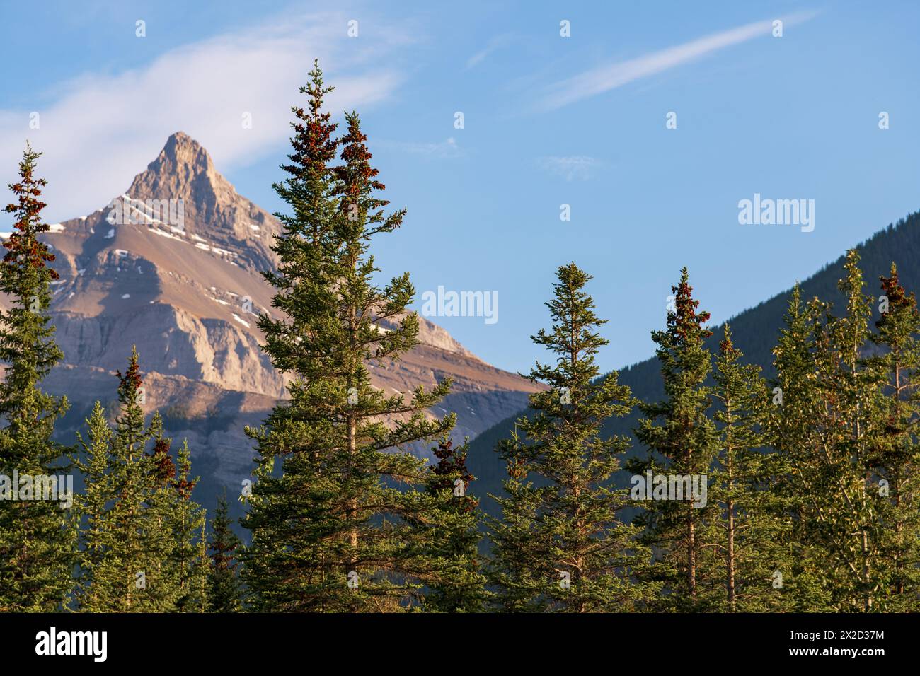 Incredible view of Three Sisters in Canada, Banff National Park with ...