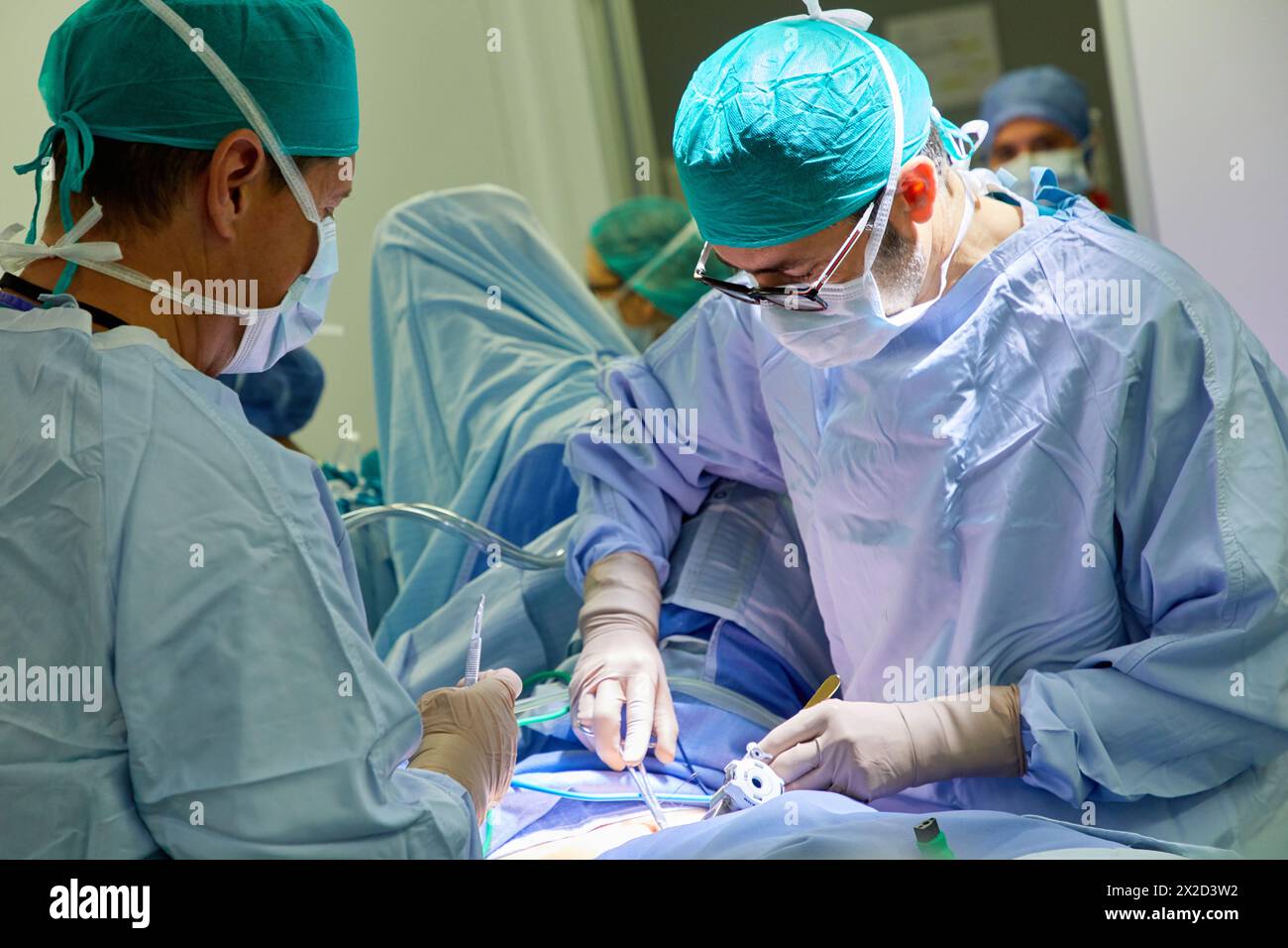 Surgical Treatment of Prostate Cancer, Radical prostatectomy, Da Vinci ...