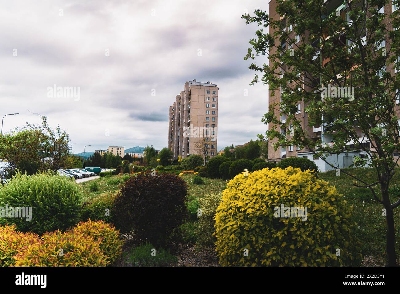 A grassy area with a neat row of apartment buildings in the background ...