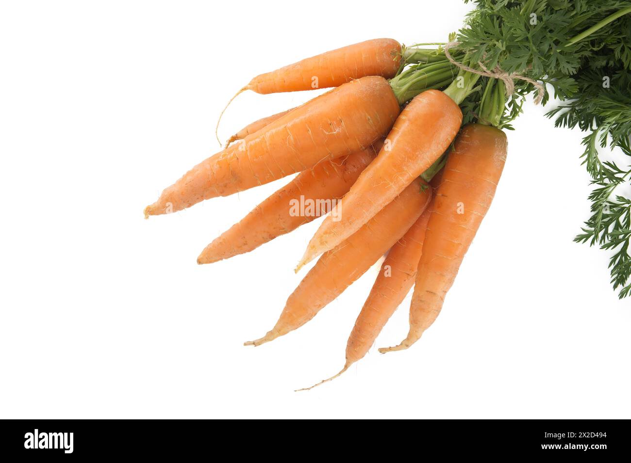Bundle of vibrant orange carrots with green leafy tops, carrots are ...