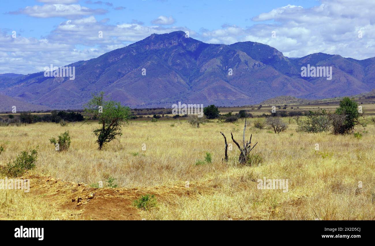 Semi arid terrain hi-res stock photography and images - Alamy