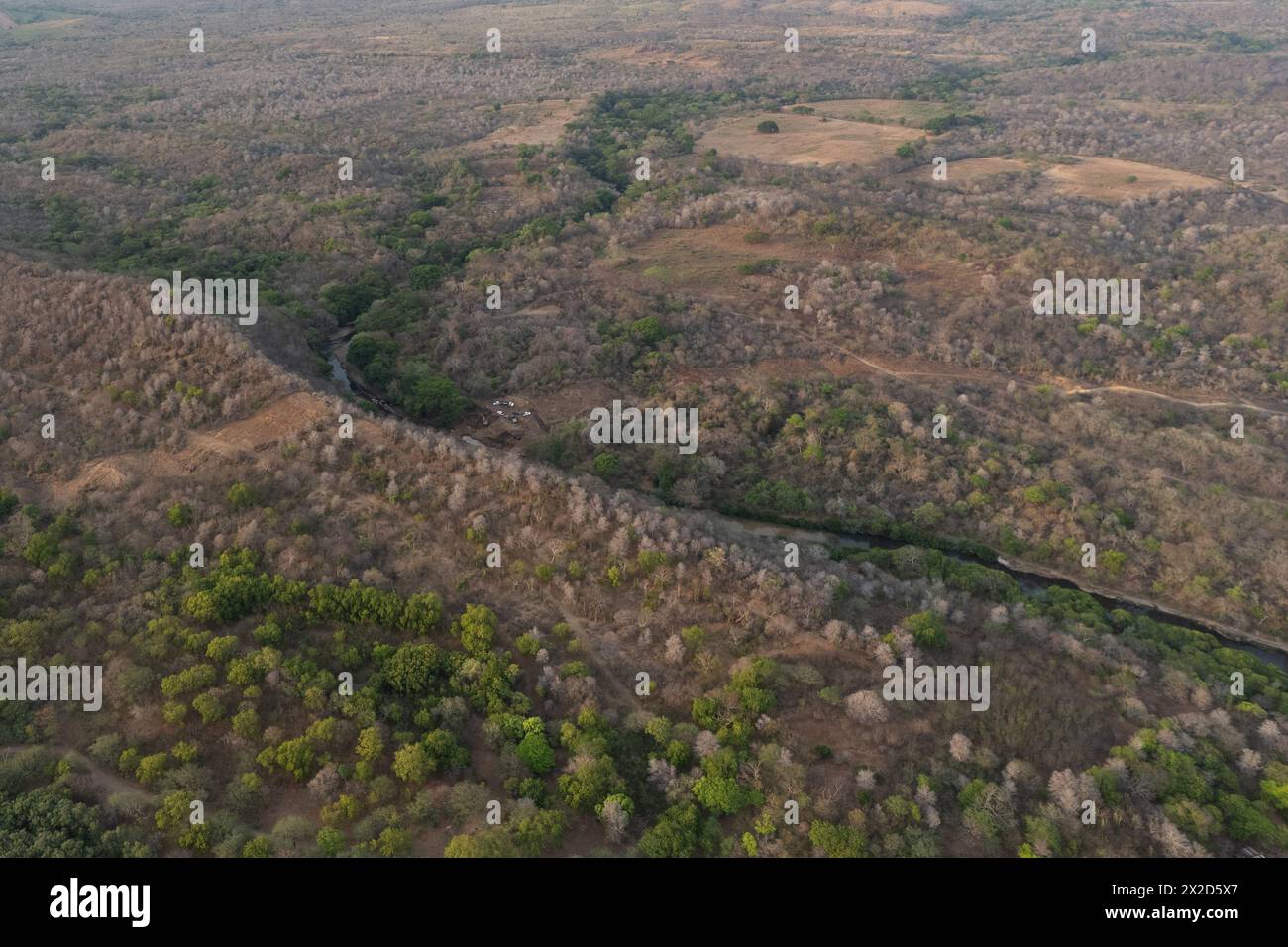 Jungle scenery hi-res stock photography and images - Alamy