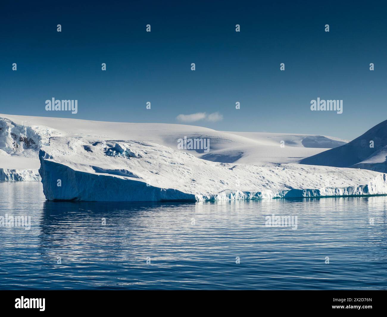 Iceberg in Mikkelsen Harbour, Trinity Island, Palmer Archipelago ...