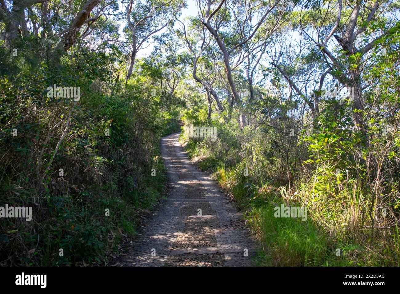 Walking hiking path on Barrenjoey headland leading to Barrenjoey ...