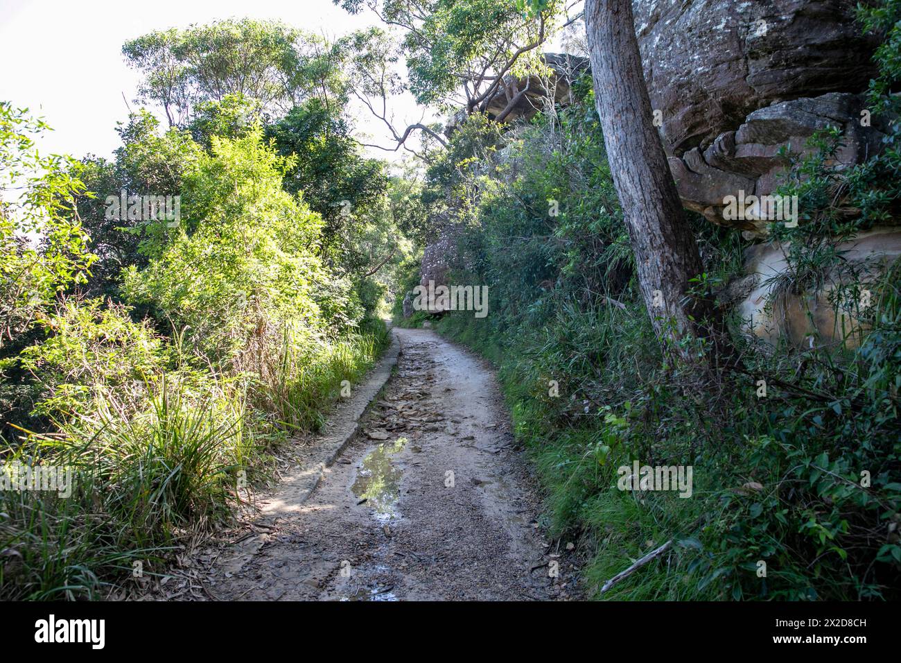 Barrenjoey lighthouse path hi-res stock photography and images - Alamy