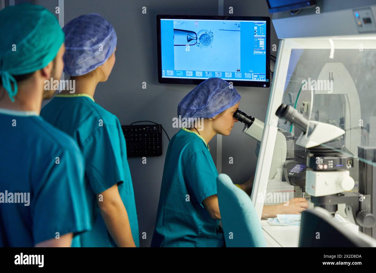 Embryology, ARU, Assisted Reproduction Unit, IVF, In Vitro ...