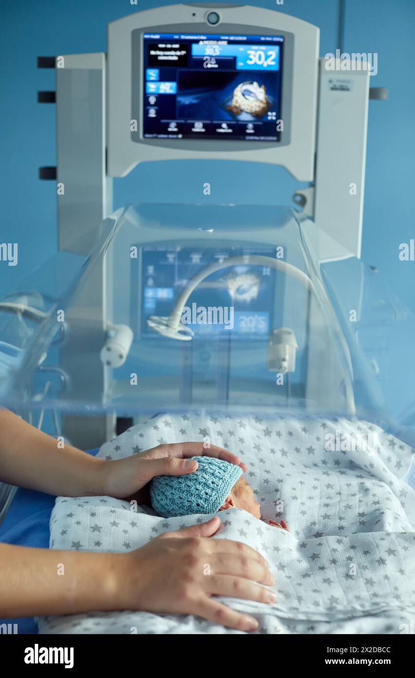 Nurse taking care of baby in the incubator, Neonatal pediatrics ...