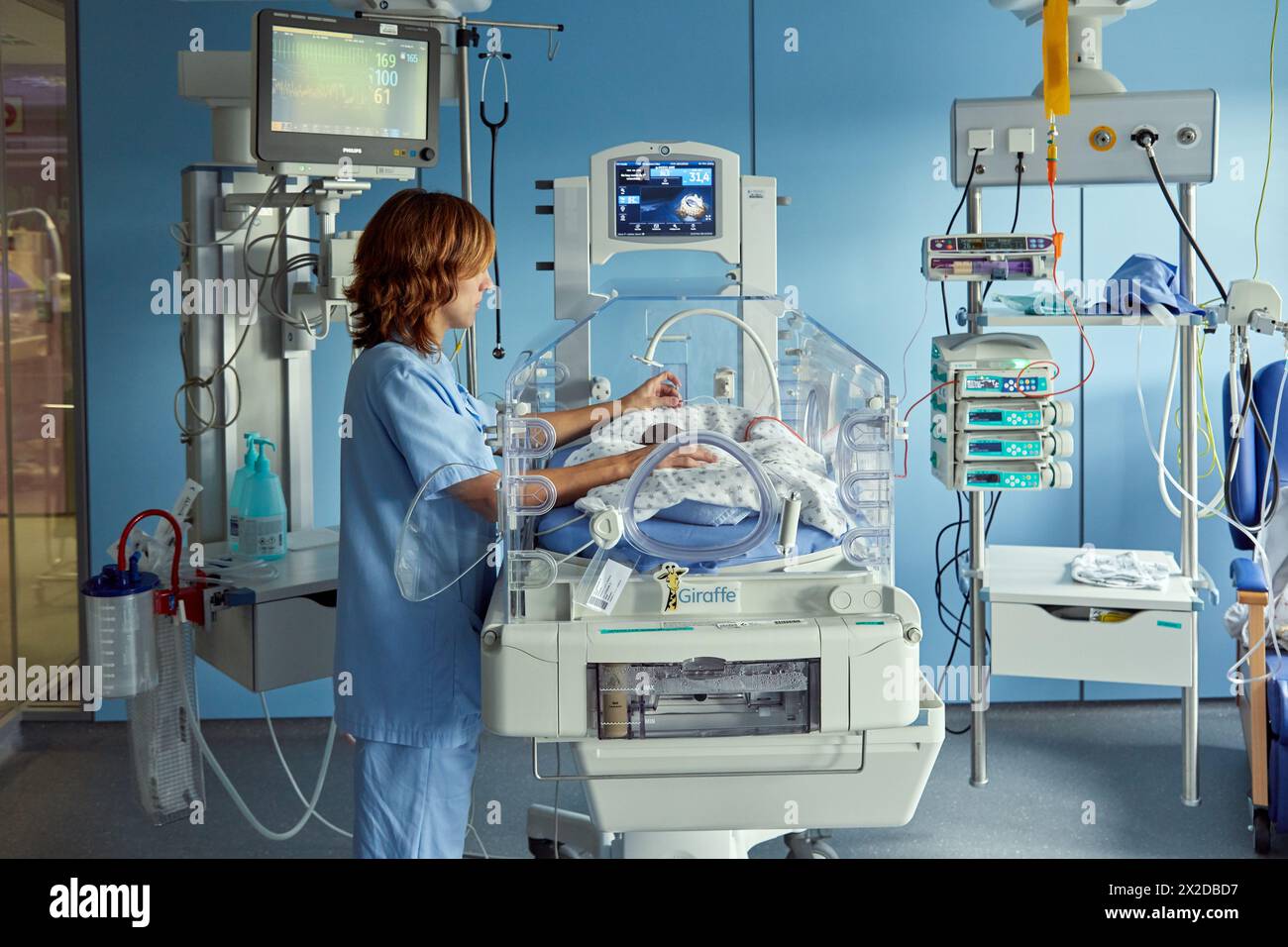 Nurse taking care of baby in the incubator, Neonatal pediatrics, Medical care, Neonate Intensive ...