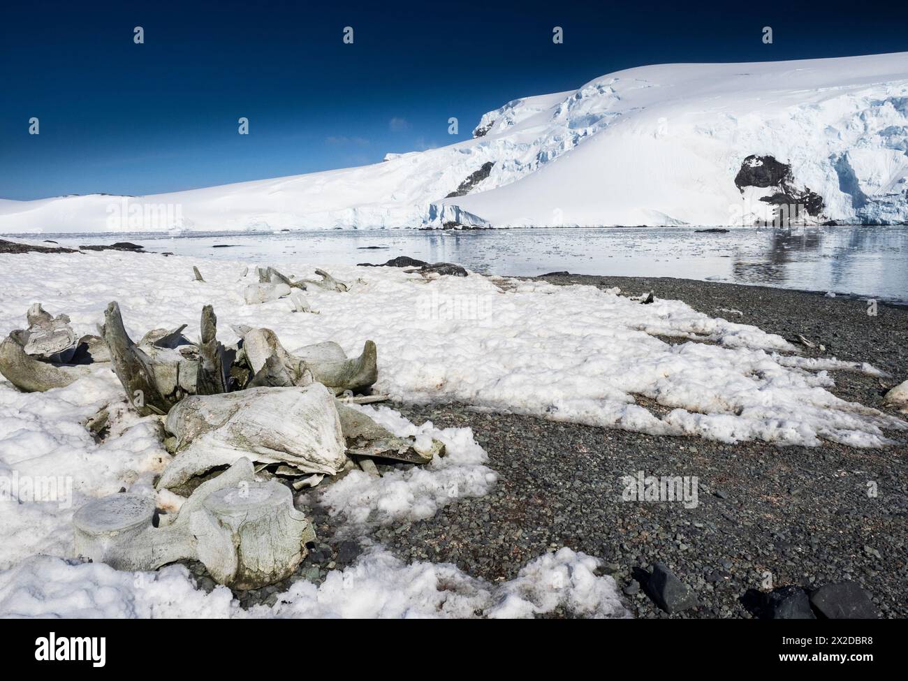 Mikkelsen Harbour from D’Hainault Island, Trinity Island, Palmer ...