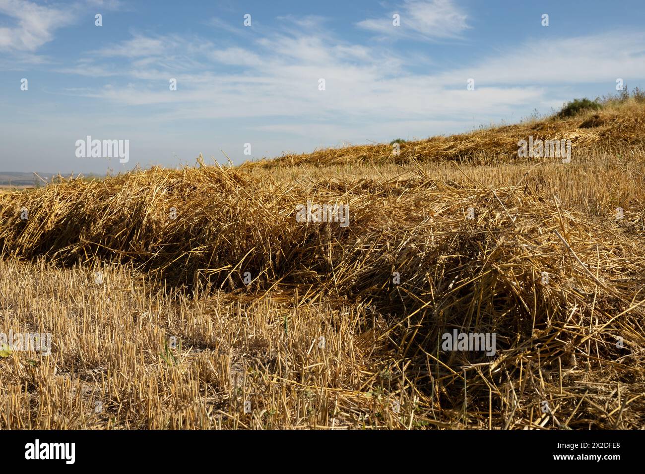 Pile of hay hi-res stock photography and images - Alamy