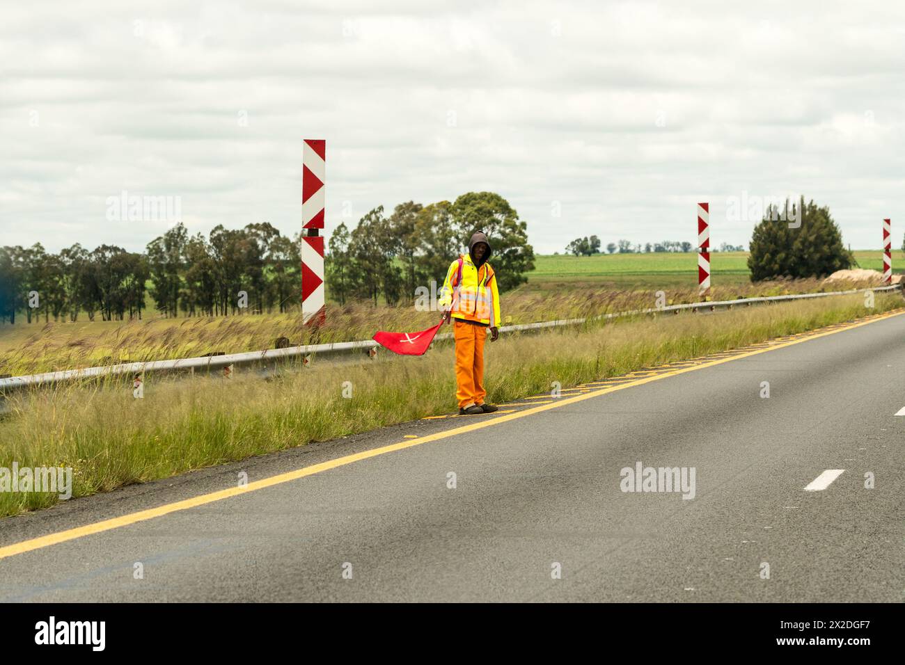 road worker waving a red flag to warn motorists of oncoming roadworks ...