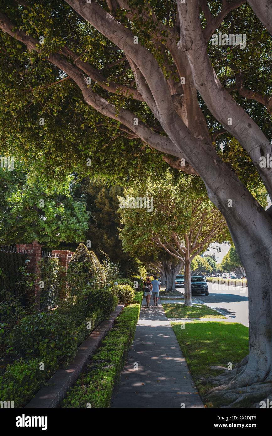 Los angeles beverly hills street view hi-res stock photography and ...
