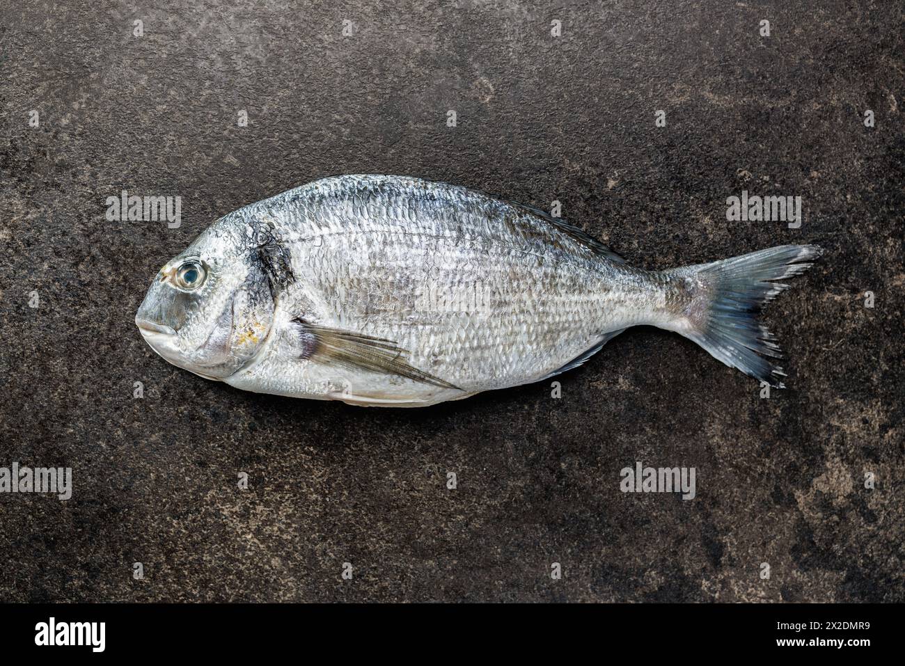 Fresh sea bream fish on a kitchen table. Top view Stock Photo - Alamy