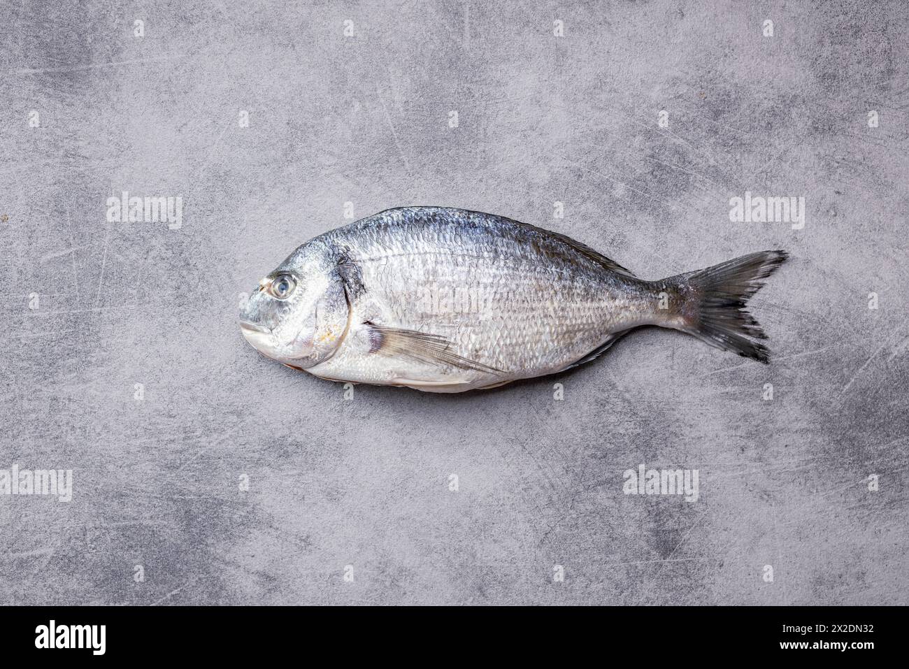 Silver flat fish sea hi-res stock photography and images - Alamy