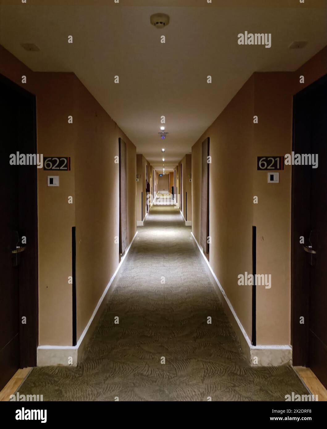 Hotel hallway corridor carpet hi-res stock photography and images - Alamy