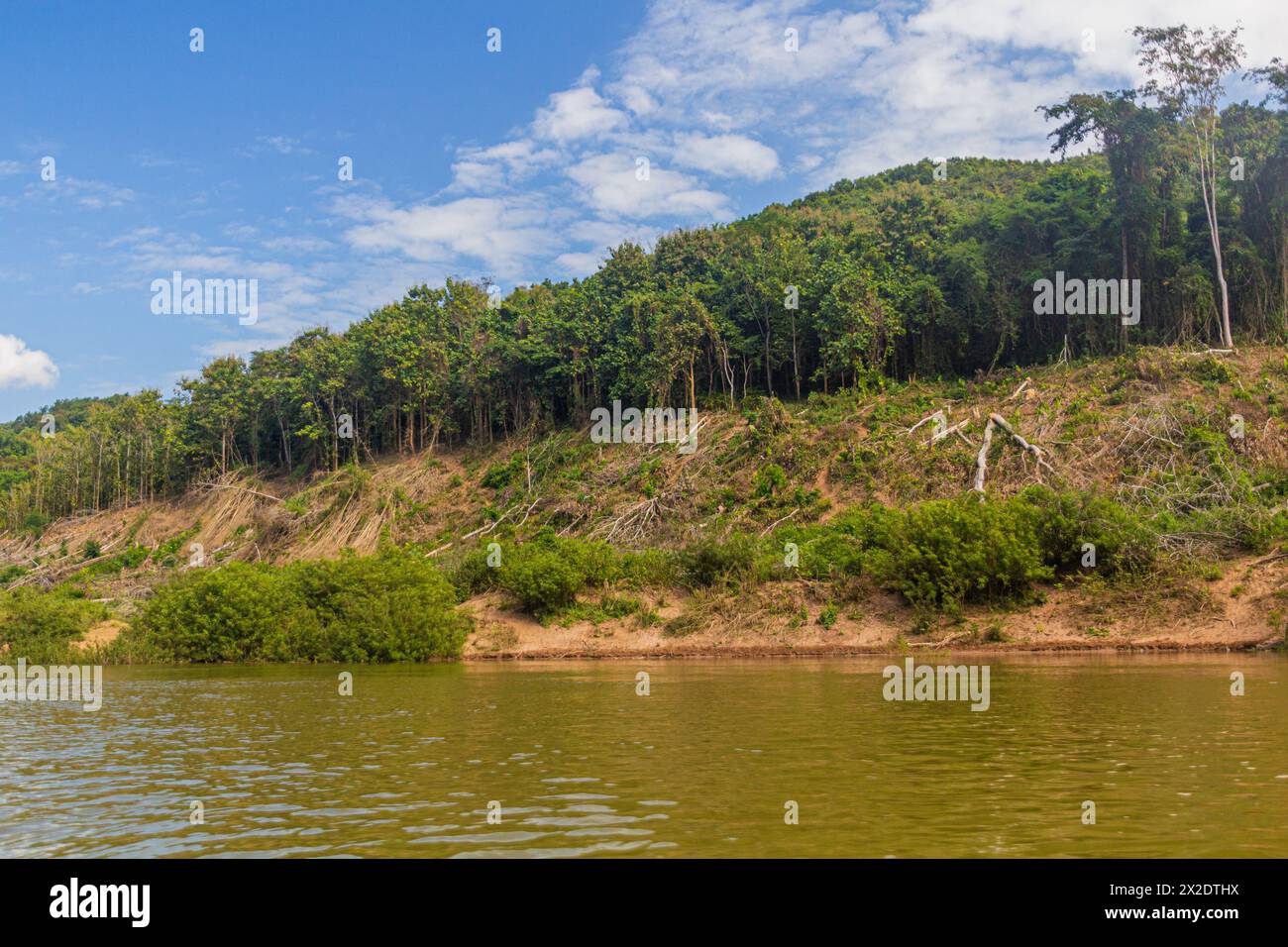 Trees are removed due to increasing levels of Nam Ou river during Nam ...