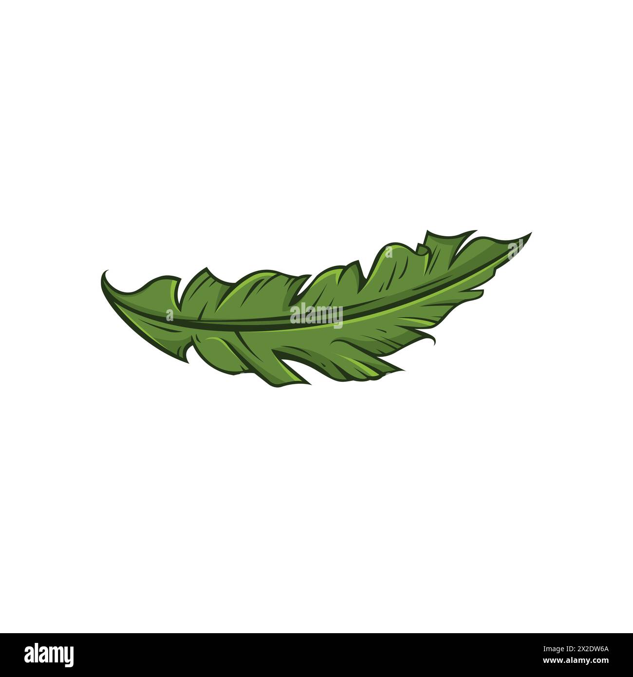 Banana leaf plant Stock Vector Images - Alamy