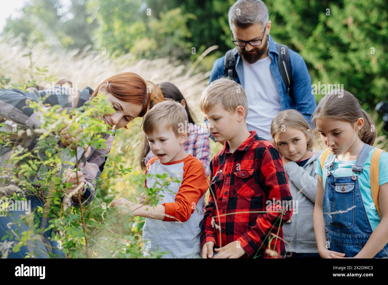 Young students learning about nature, forest ecosystem during biology ...