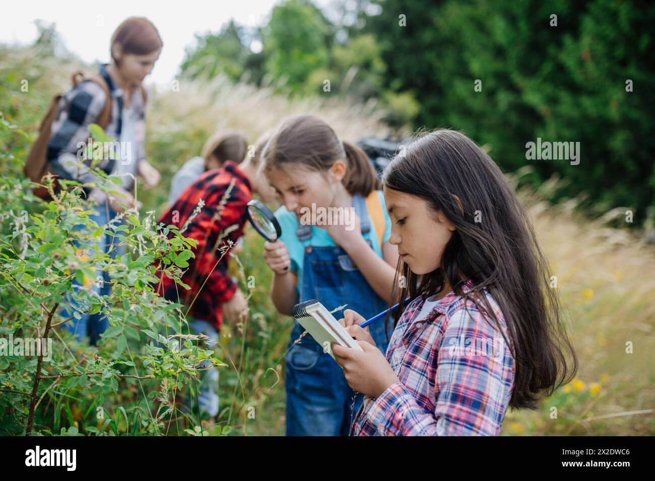 Young students learning about nature, forest ecosystem during biology ...