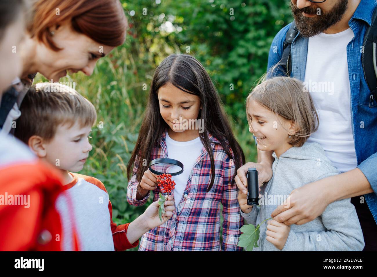 Young students learning about nature, forest ecosystem during biology ...