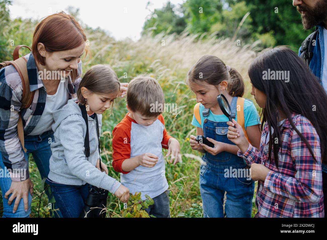 Young students learning about nature, forest ecosystem during biology ...