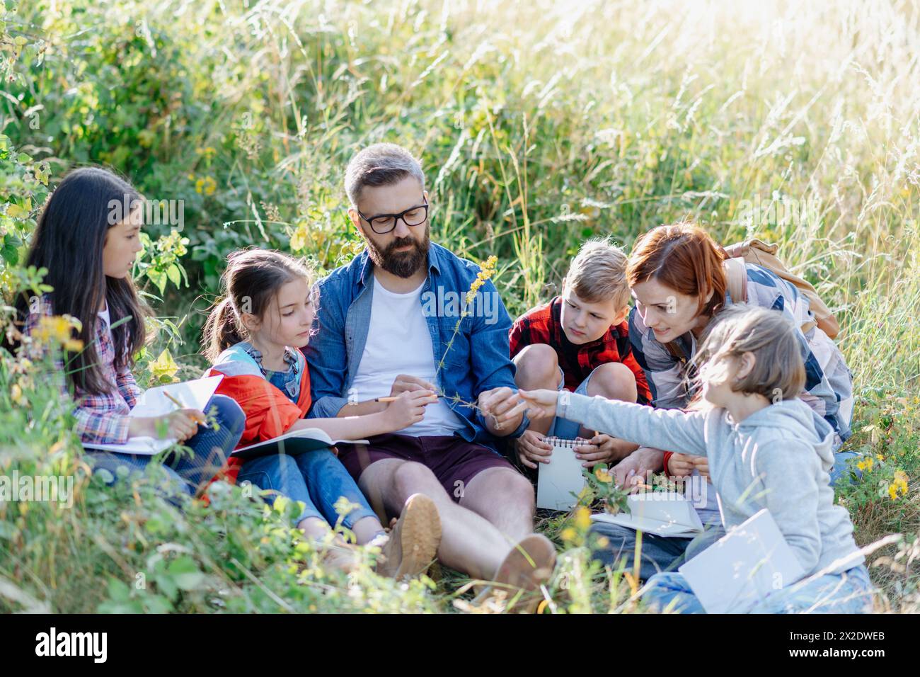 Young students learning about nature, forest ecosystem during biology ...