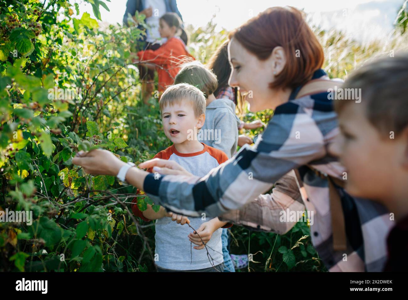 Young students learning about nature, forest ecosystem during biology ...