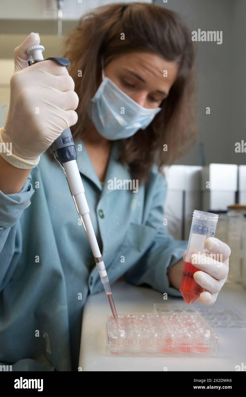 Taking samples of viral pathogens. Personal with safety mask ...