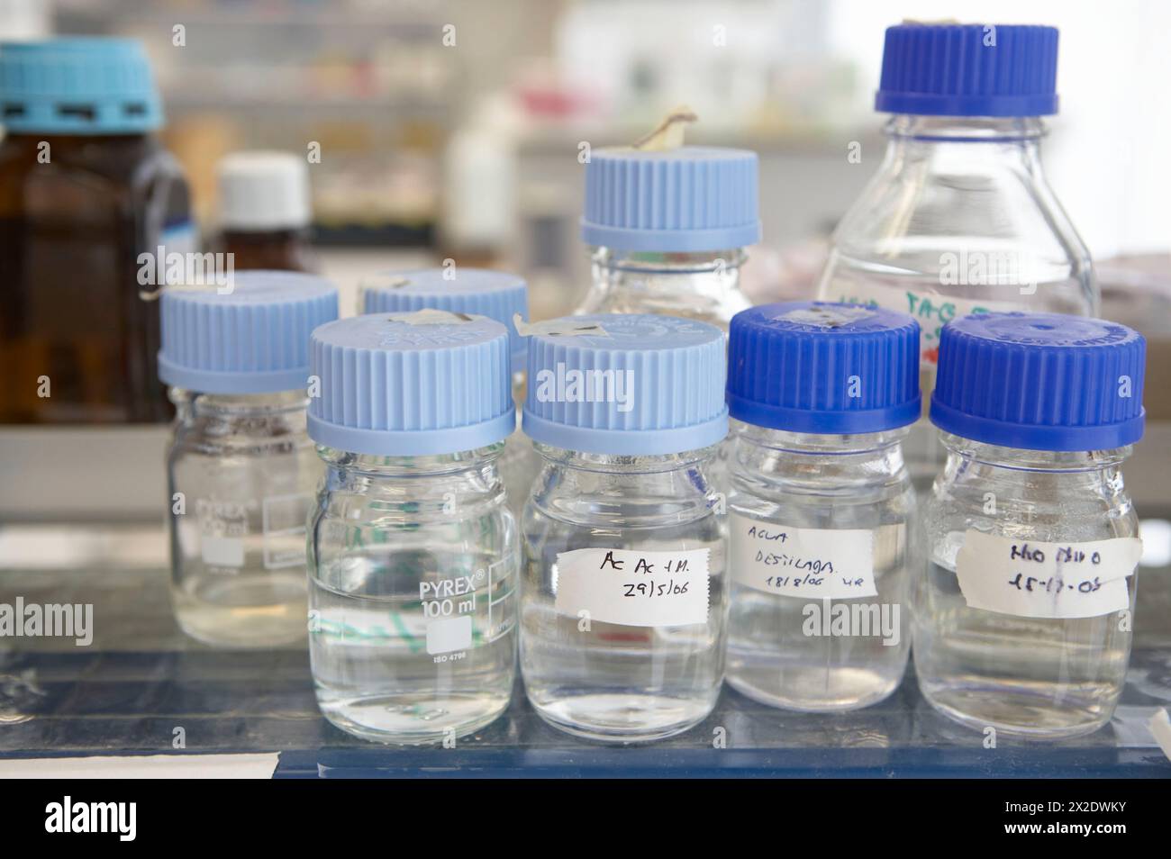 Bottles with chemical solutions. Laboratory, Fundación Inbiomed ...