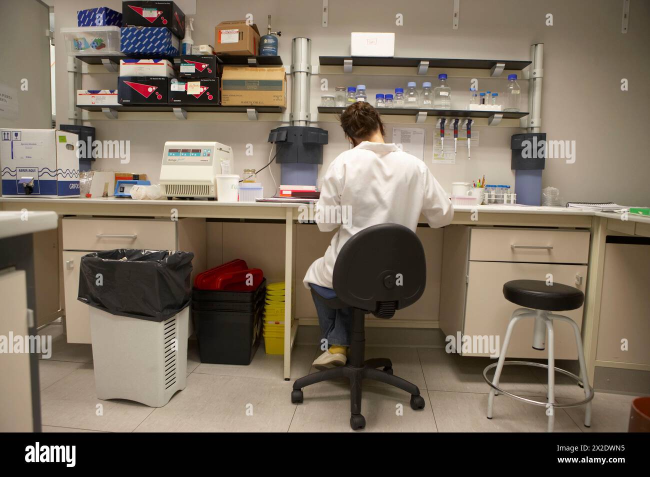Technical staff working on laboratory bench. Laboratory, Fundación ...