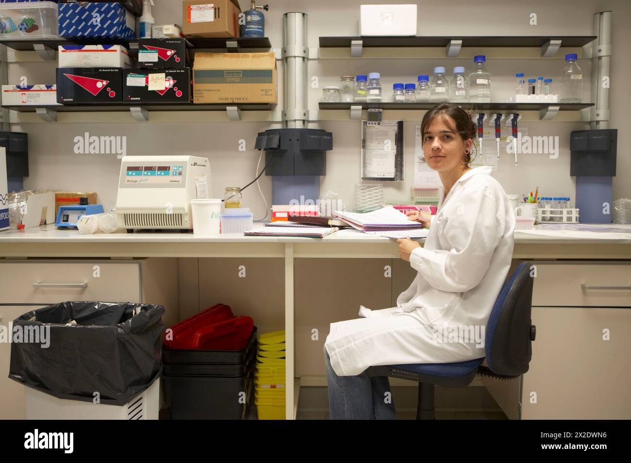 Technical staff working on laboratory bench. Laboratory, Fundación ...