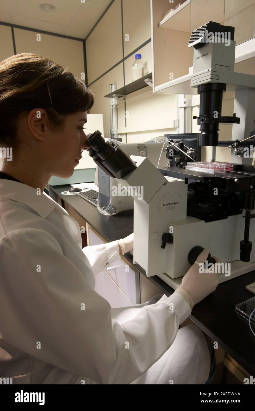 Micromanipulator hi-res stock photography and images - Alamy