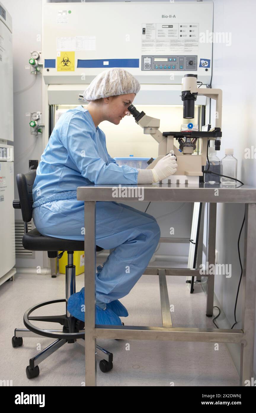 Analyzing samples in microscope. Quarantine zone (Grade C), clean room ...