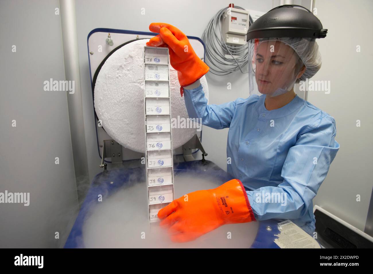 Cryogenic Procedures/Cryopreservation/storage of samples in liquid ...