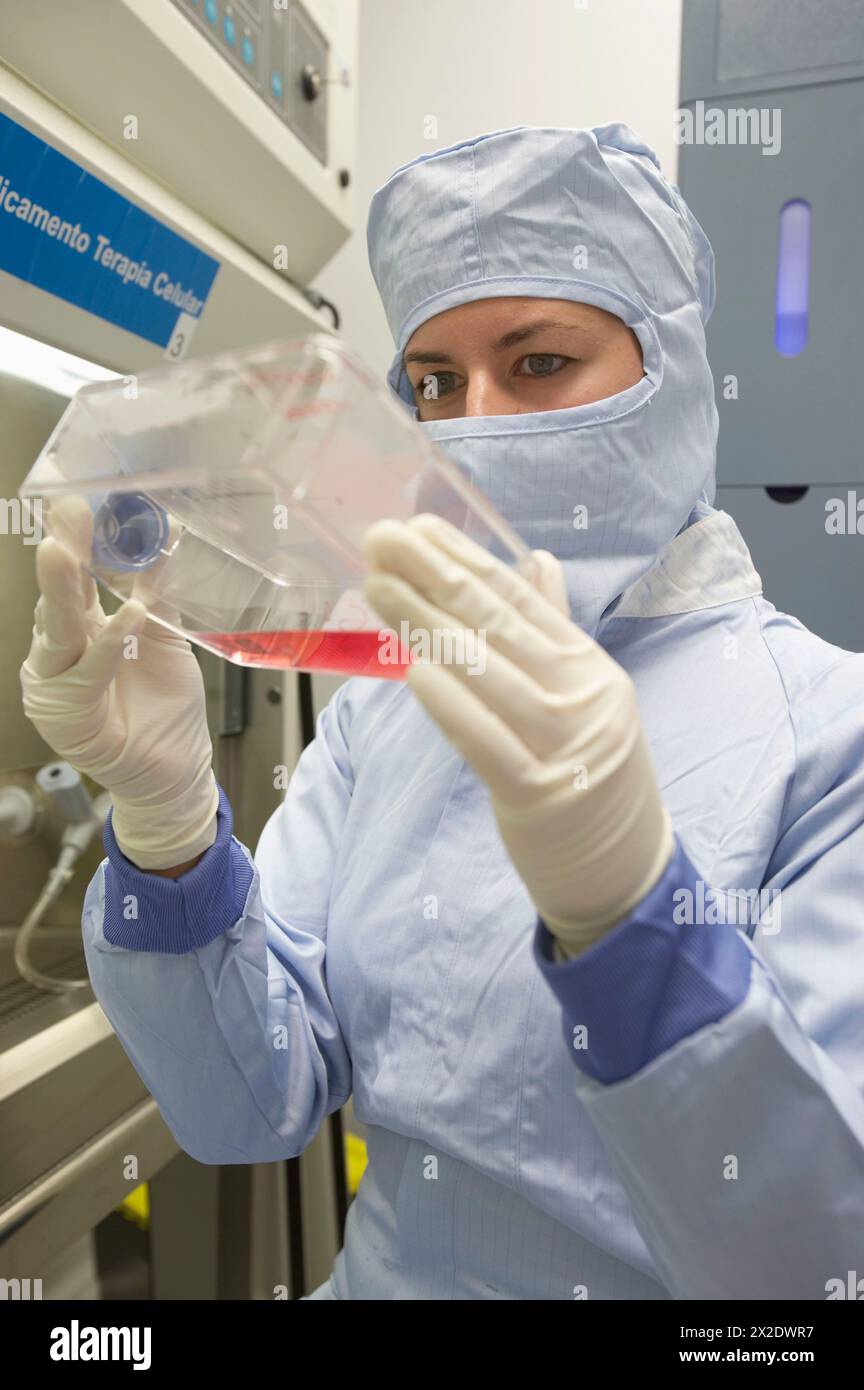 Biological safety cabinet. Production room, grade B. Clean room ...