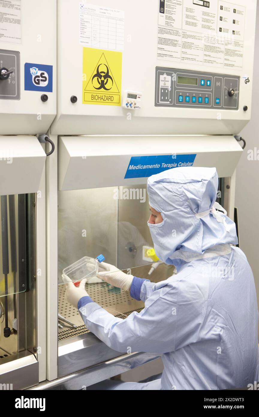 Biological safety cabinet. Production room, grade B. Clean room ...