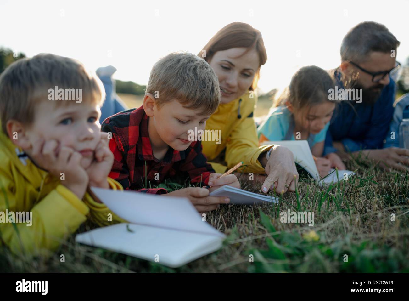 Young students learning about nature, forest ecosystem during biology ...