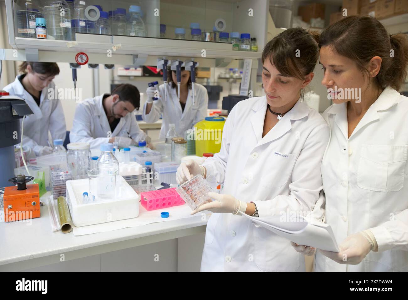 Researchers working in laboratory. Fundación Inbiomed, Genetrix Group. Center for research in ...