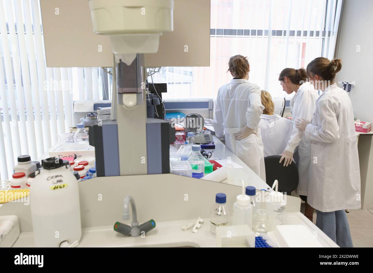 Researchers talking over data. Laboratory, Fundación Inbiomed, Genetrix ...